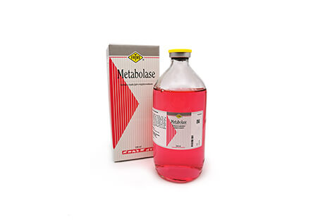Metabolase 500ml - Universitātes Vetfonds