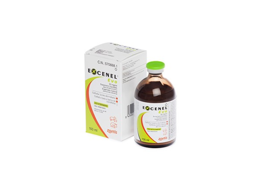 Excenel EVO 50mg/ml, 100 ml cūkām /liellopiem - Universitātes Vetfonds